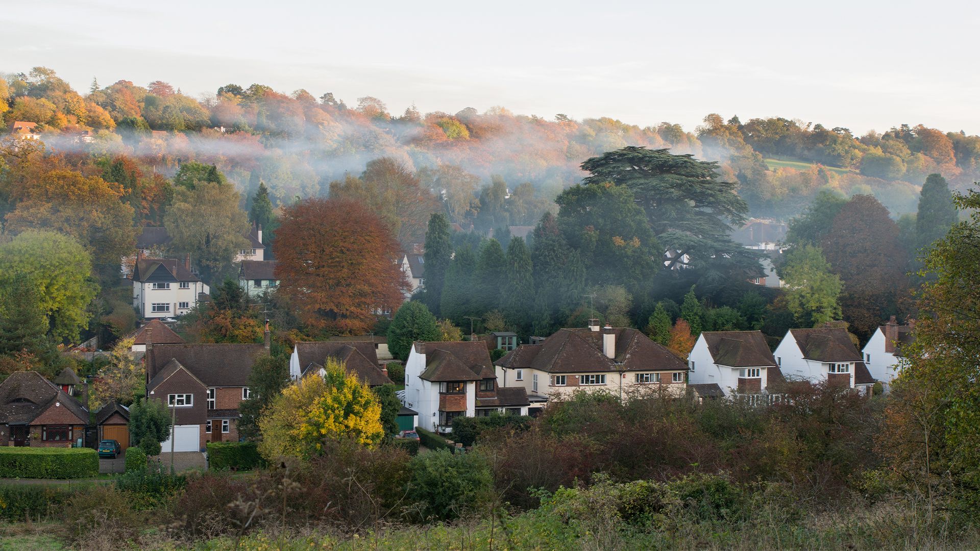 Banstead Area Guide | Cubitt & West