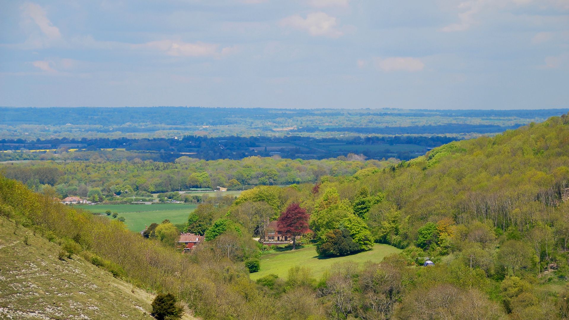 Crowborough Area Guide | Cubitt & West