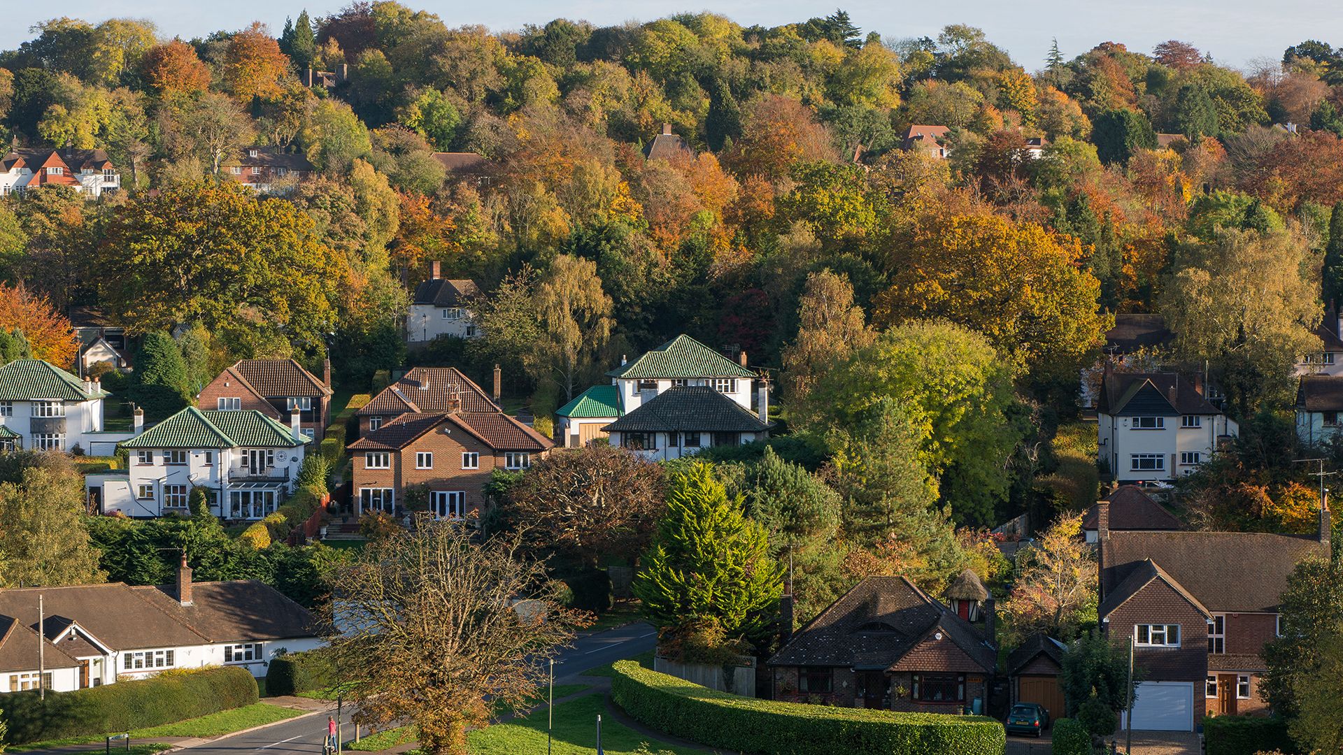 Purley Area Guide | Cubitt & West