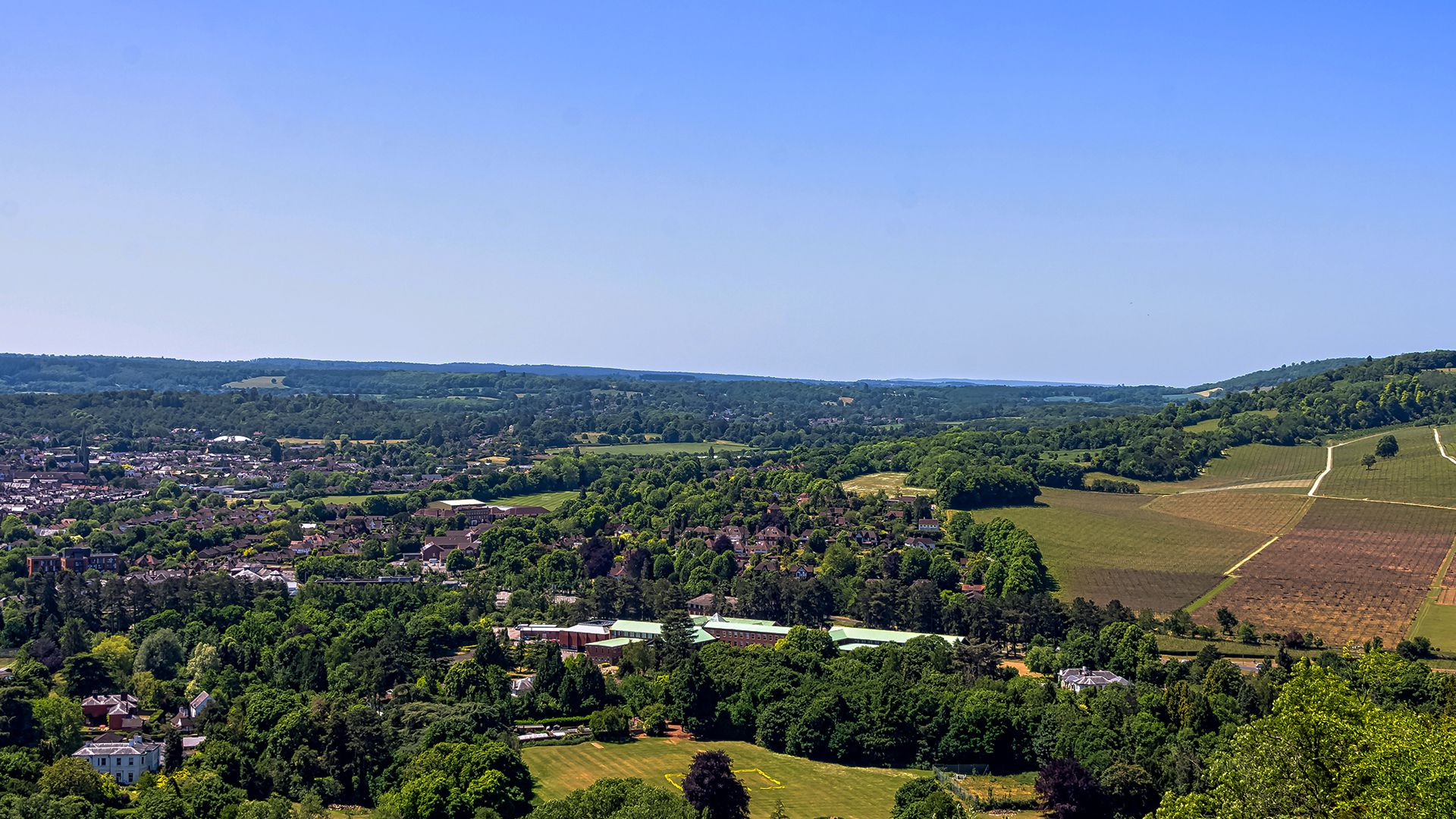 Sutton Area Guide | Cubitt & West