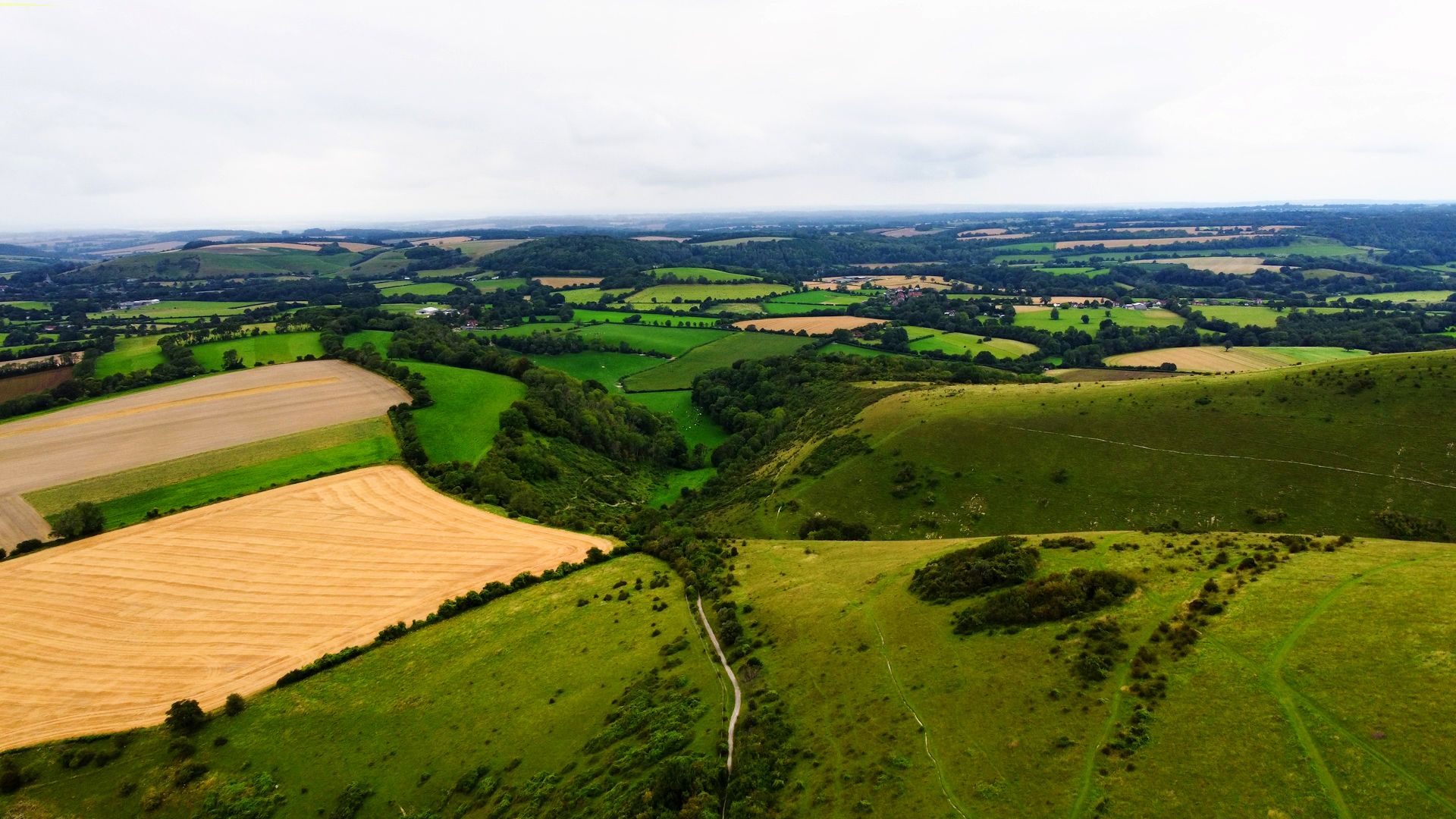 Waterlooville Area Guide | Cubitt & West