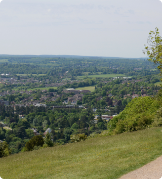 Surrey, Sussex and Hampshire Area Guides | Cubitt & West