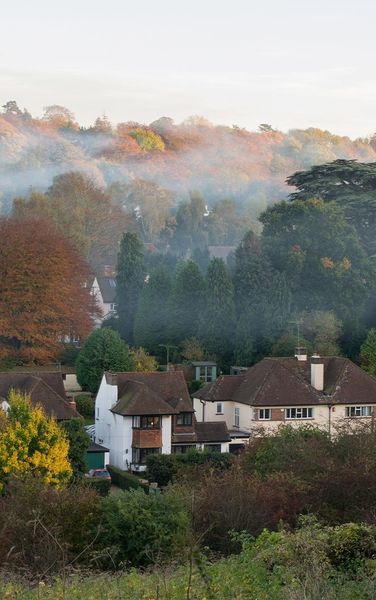 Banstead Area Guide | Cubitt & West