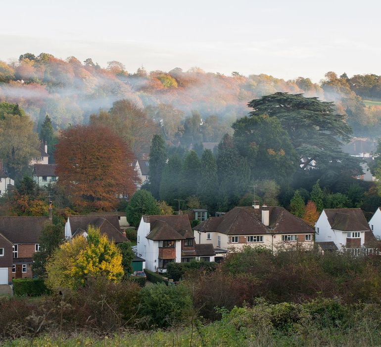 Banstead Area Guide | Cubitt & West