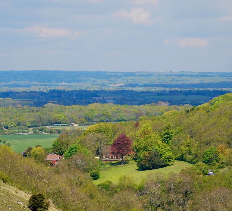 Crowborough Area Guide | Cubitt & West