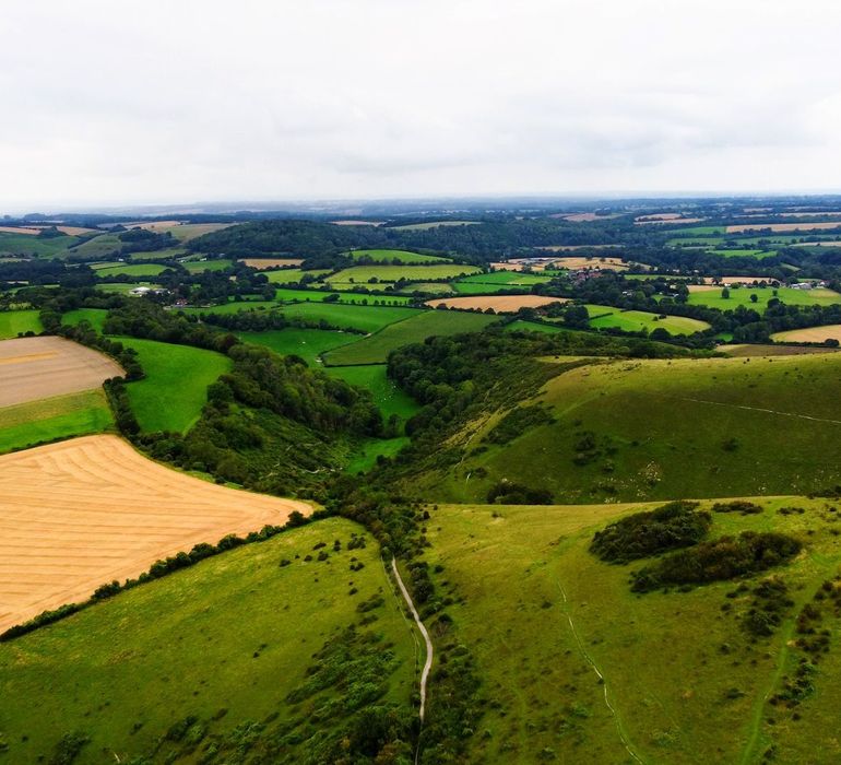 Waterlooville Area Guide | Cubitt & West